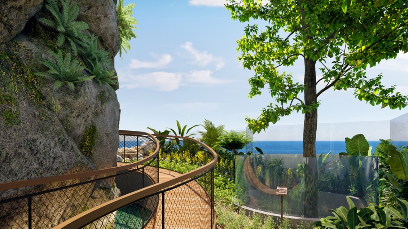 Coco del Mar - Dovle Selva