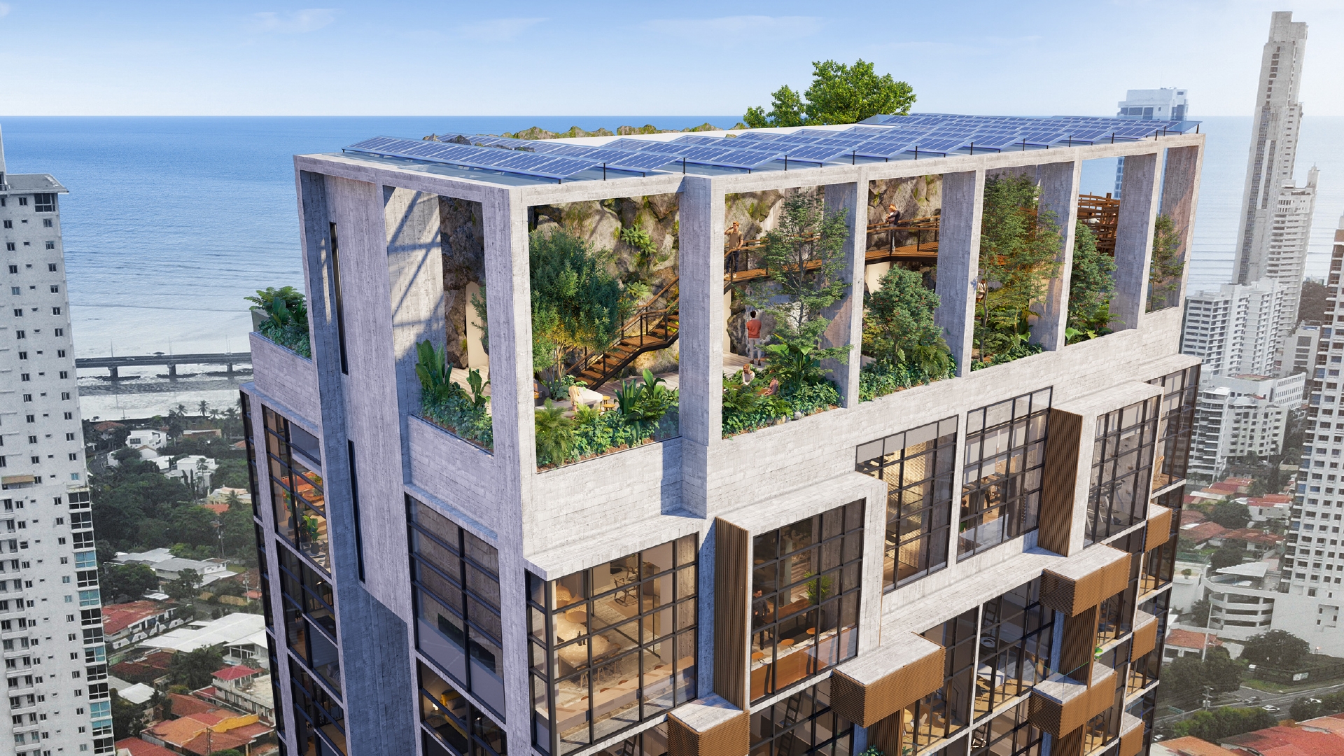 Coco del Mar - Dovle Selva